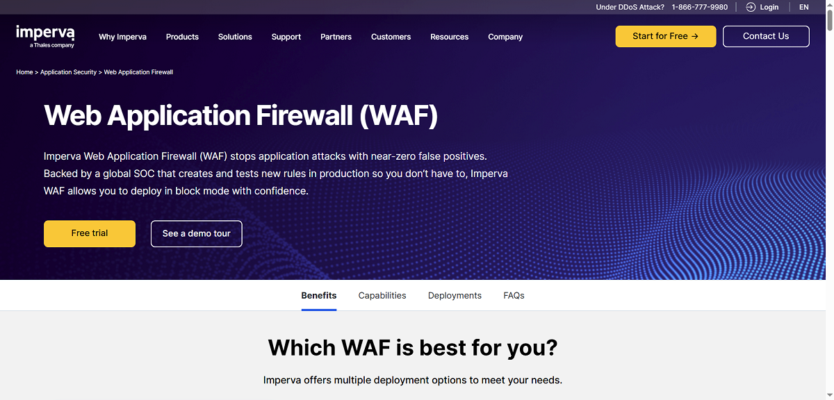 WordPress XSS Attacks: What Is It and How to Avoid It?